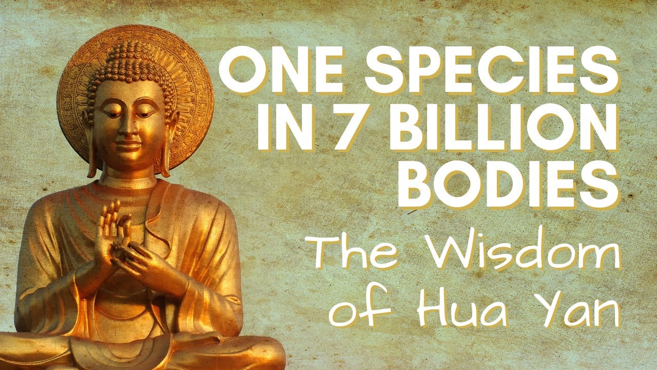 Exploring the 3 Principles of Hua Yan Buddhist Philosophy