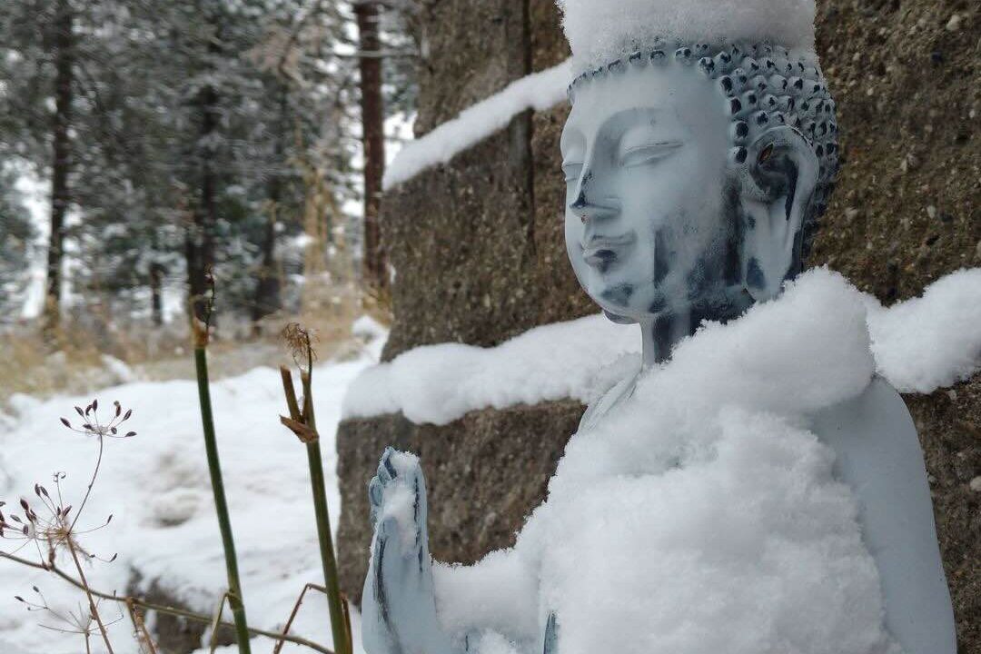 Experience Tranquility at Sangha Retreat Planet Dharma